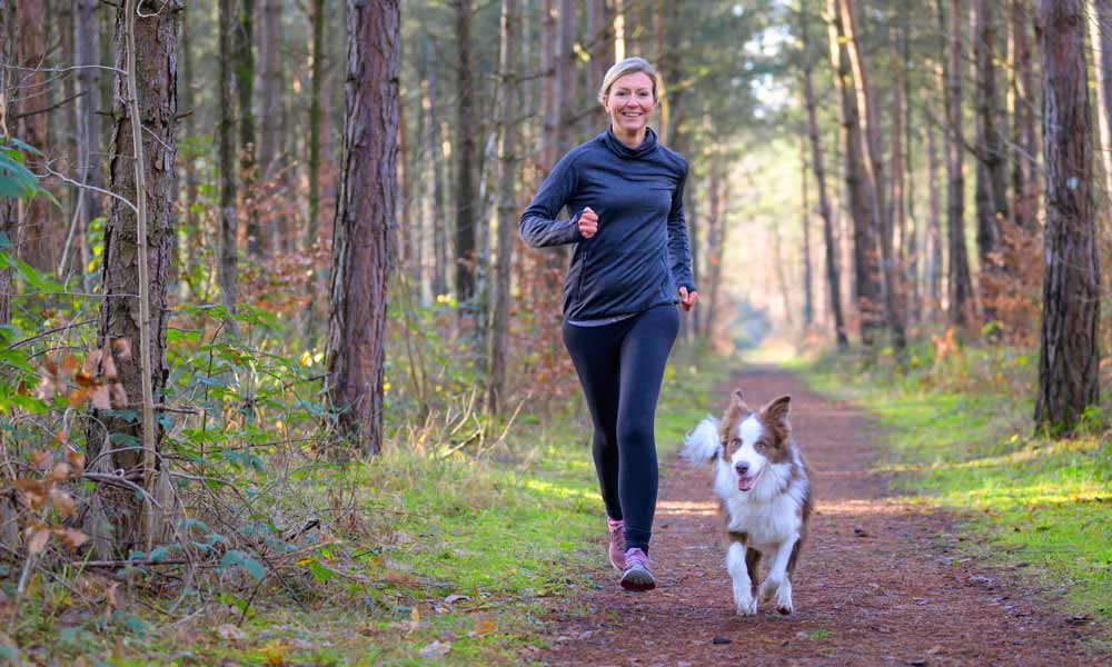 Are High Energy Dogs Right for You? – Petlux.eu